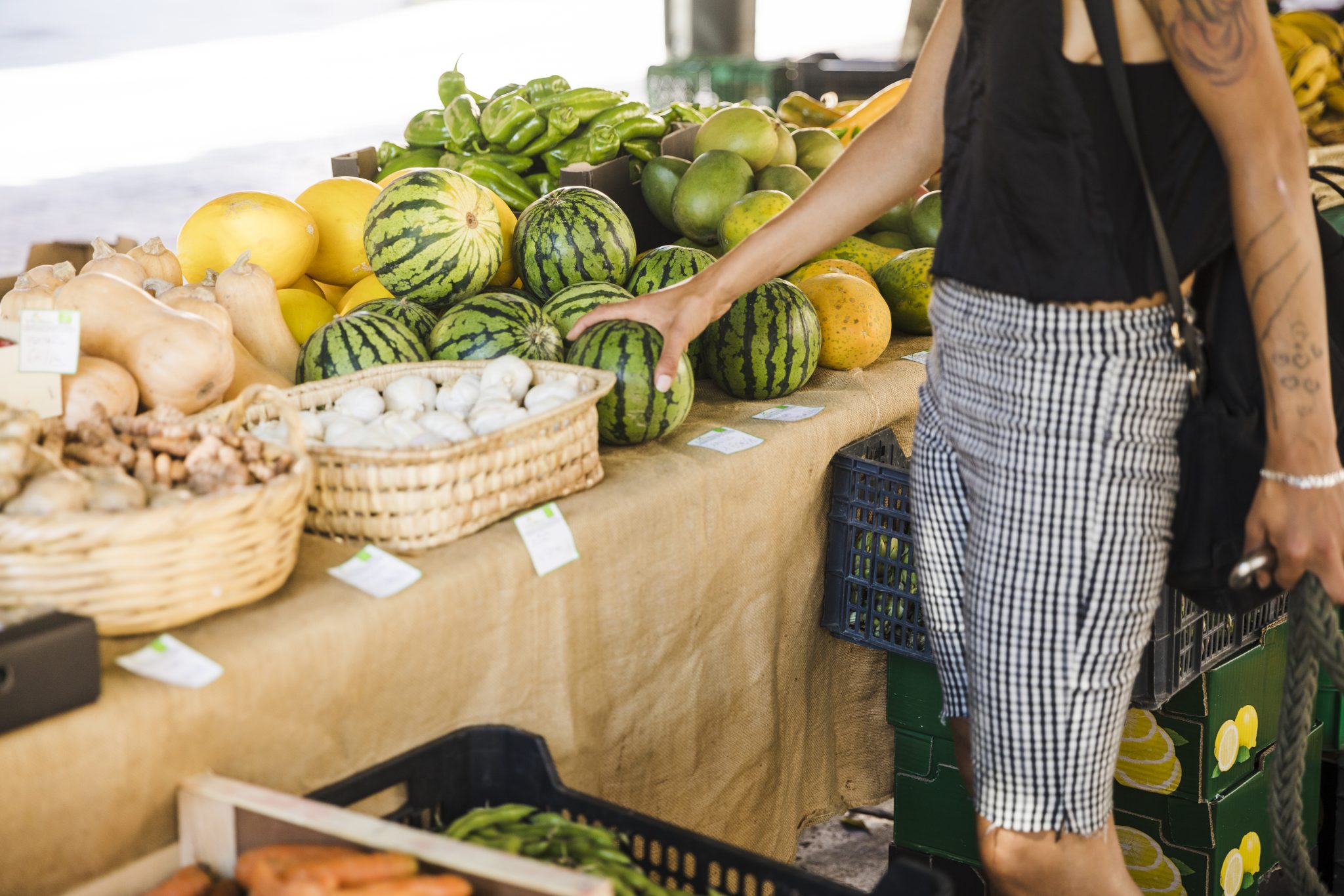 2025 SWFL Farmer's Market Calendar | SWFL Blog